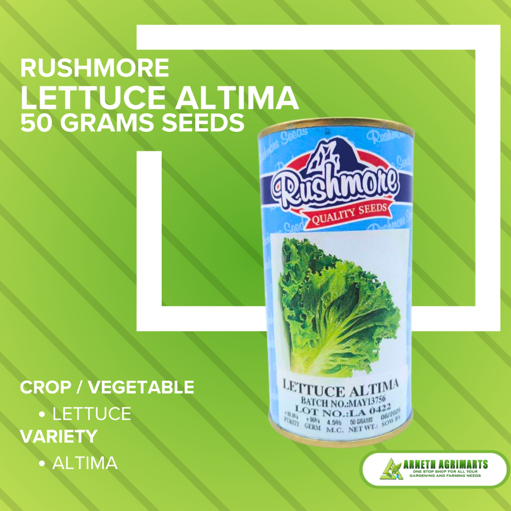 RUSHMORE LETTUCE ALTIMA ( 50 GRAMS CAN ) | Shopee Philippines