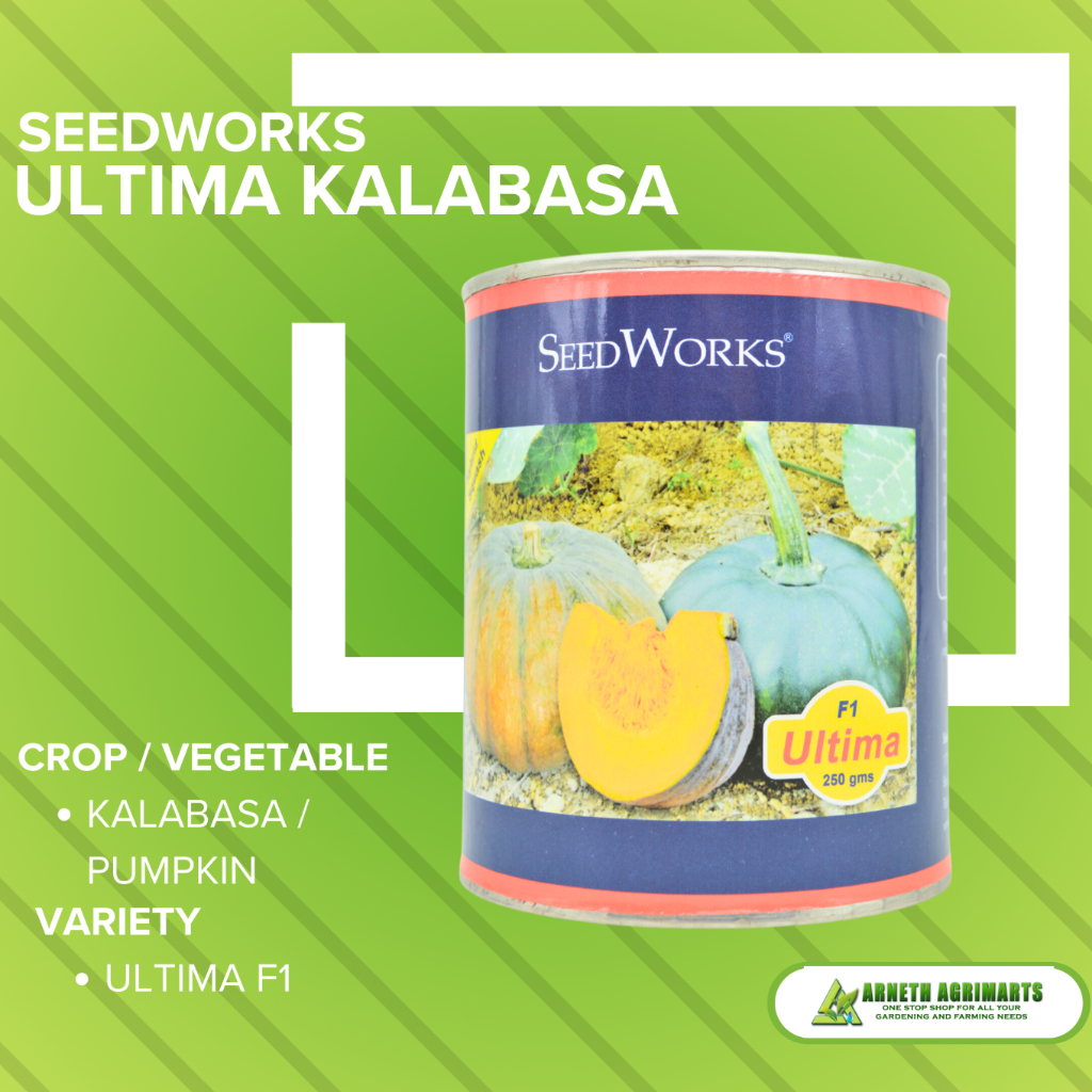 ARNETH ULTIMA F1 HYBRID SQUASH KALABASA SEEDS BY SEEDWORKS | Shopee ...