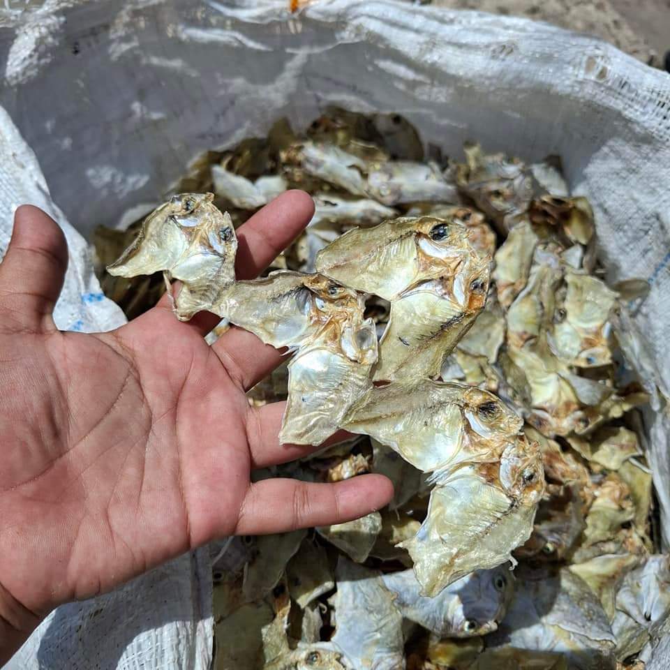 UNSALTED BONELESS DANGGIT BITESIZE from MINDANAO | Shopee Philippines