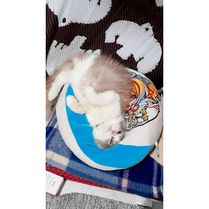 shopee check out for client | Shopee Philippines