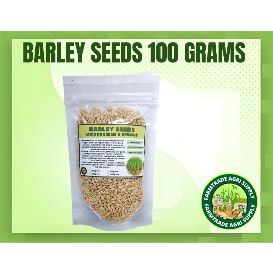Barley Seeds (100 grams) for microgreens, sprouts and juicing | Shopee ...