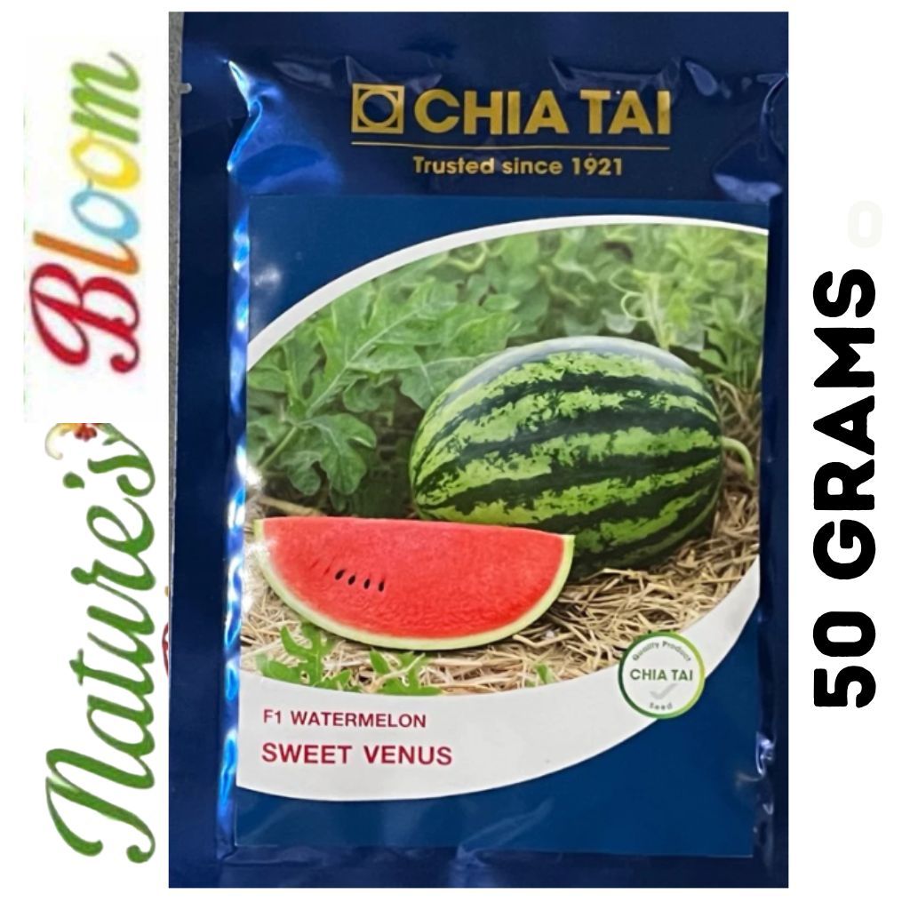 SWEET VENUS F1 HYBRID WATERMELON SEEDS 50 GRAMS (CHAI TAI) | Shopee ...