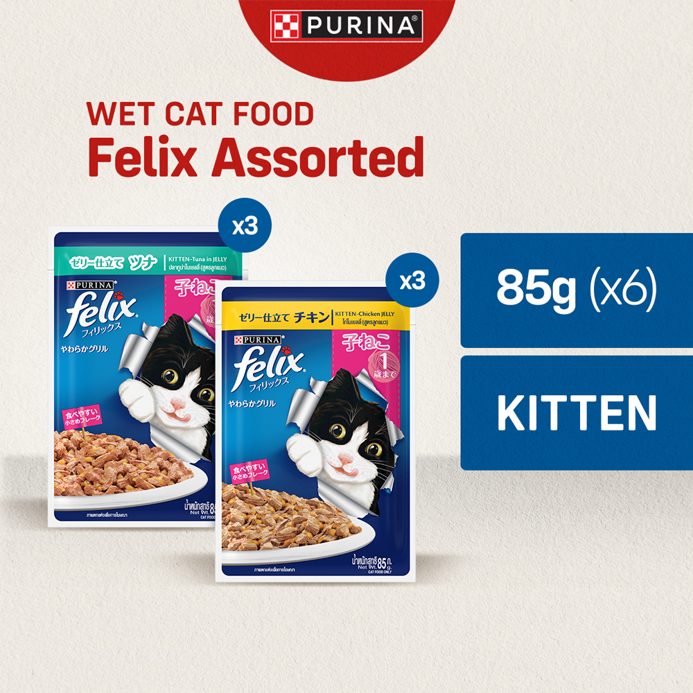 PURINA FELIX Kitten Chicken & Tuna in Jelly 85g x6 | Shopee Philippines