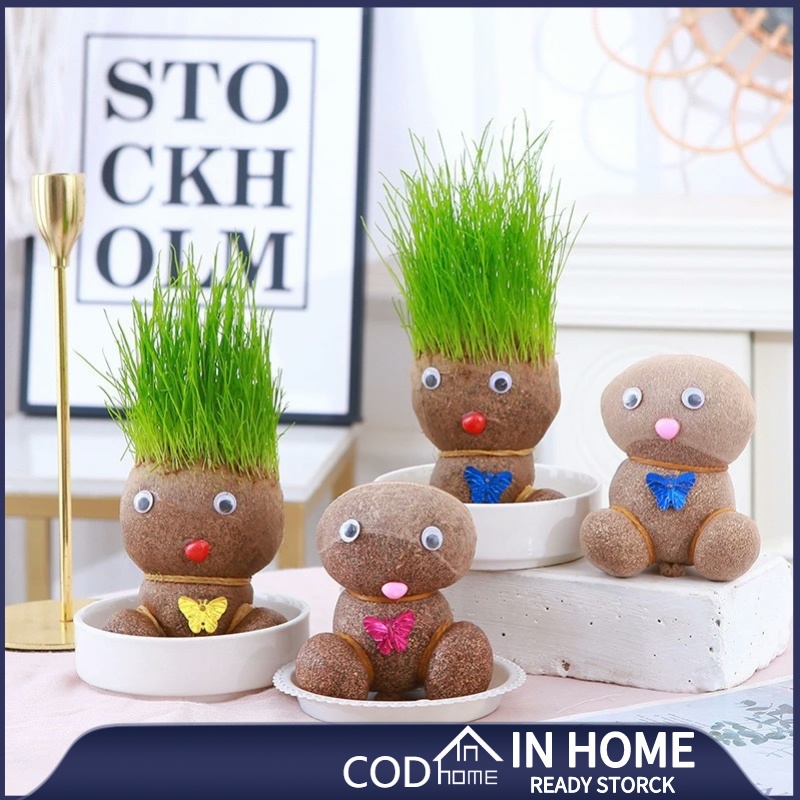 Grass Head Room Decor Children Growing Grass head Doll Toys Indoor ...