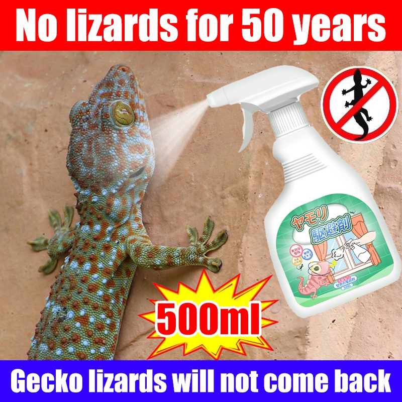 No Lizards for 50 Years Lizard Killer 500ML Gecko Spray Killer 100% ...