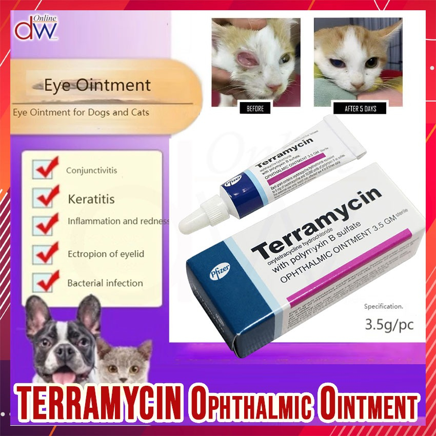 TERRAMYCIN 3.5gm Ophthalmic Ointment for Dog Cat Conjunctiva for Pets ...