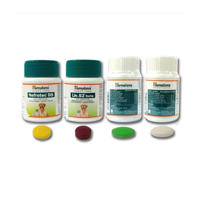 Nefrotec DS Immunol Liv 52 Forte Sold per Tablet per Piece | Shopee ...