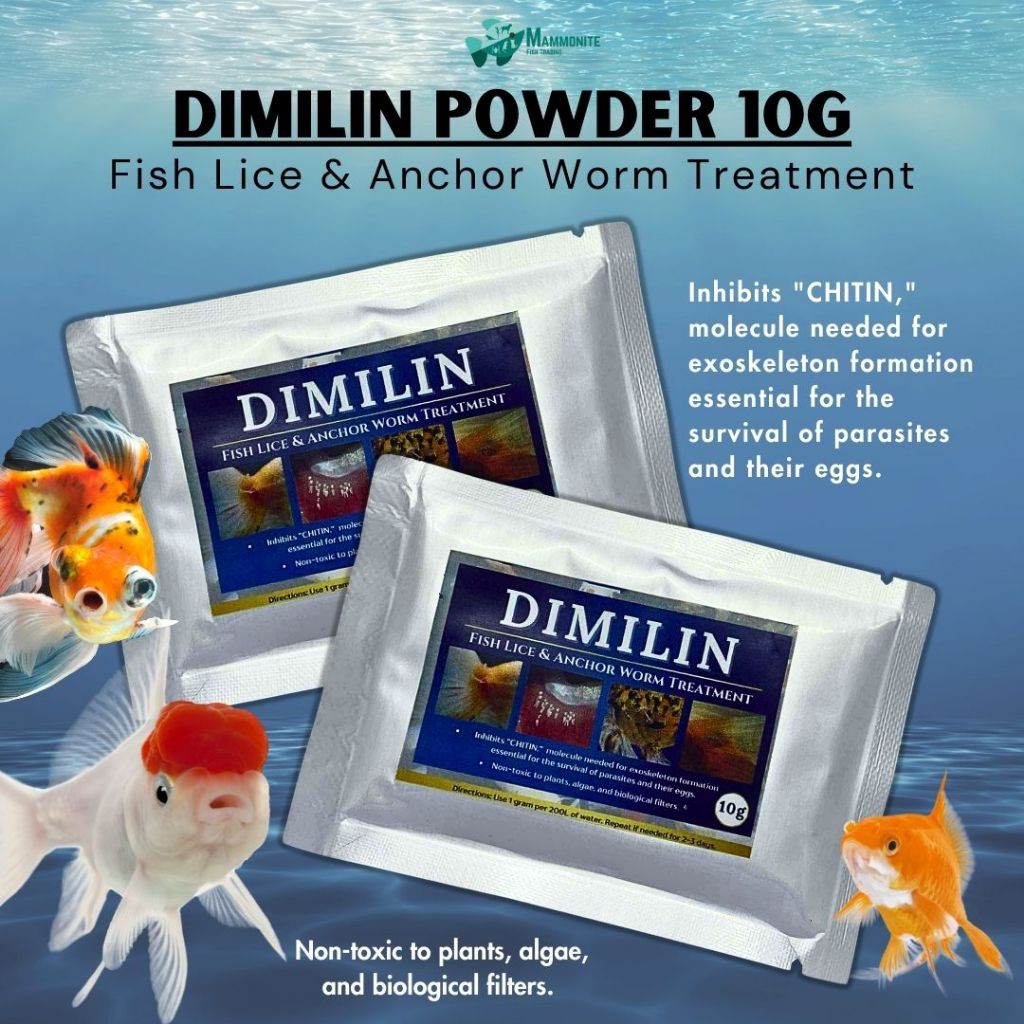 10 Grams Dimilin Powder Fish Lice and Anchor Worm Treatment | Shopee ...