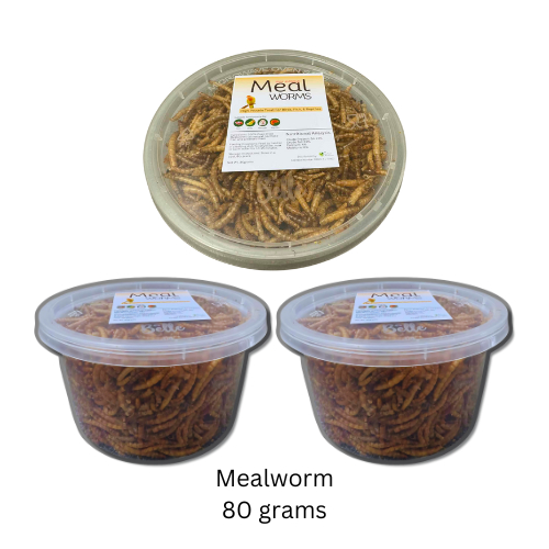 Dried Mealworm and Black Soldier Fly Larvae Pet Food for Fish, Bird ...