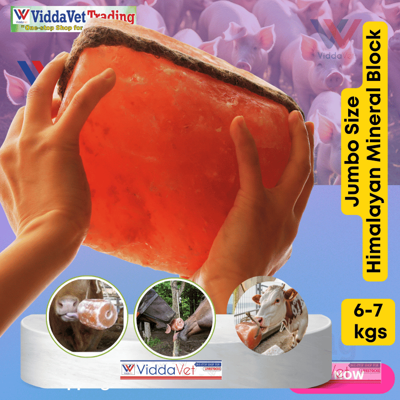 Mineral blocks for goat mineral block for cow Himalayan salt blocks ...