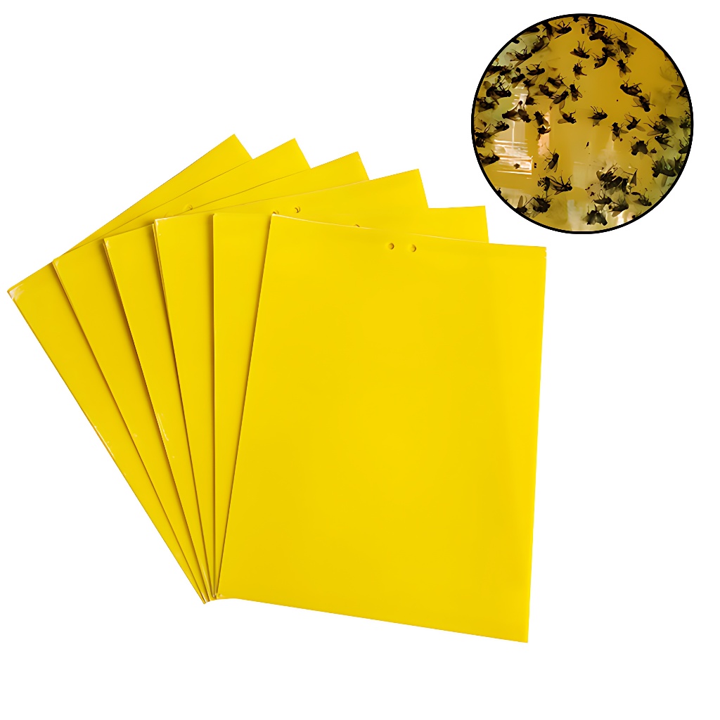 Strong Flies Traps Yellow Sticky Trap for Bugs Insect Board Aphid ...