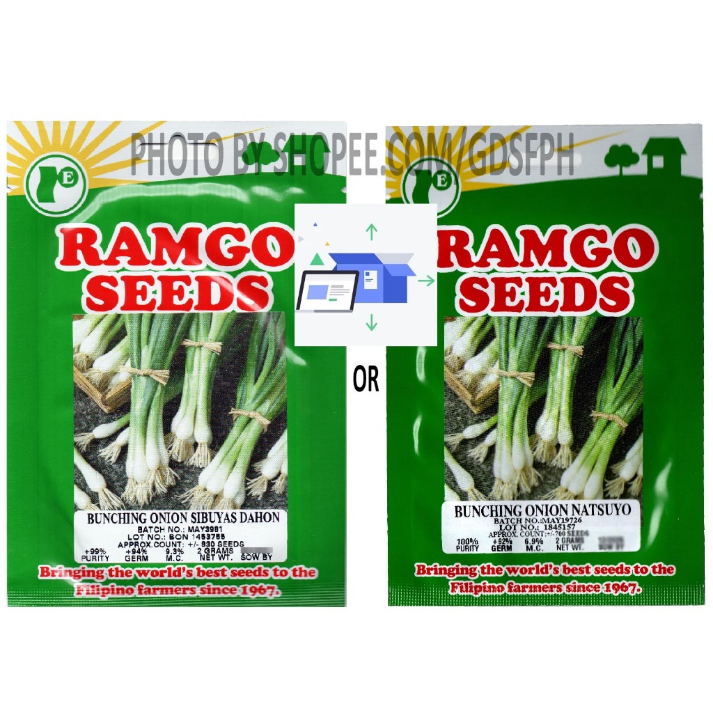 Ramgo RPD Seeds BUNCHING ONION 2g (ORIGINAL PACKAGING) GDSFPH_S4 ...