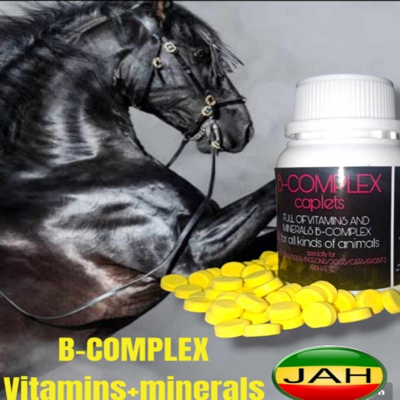 B-COMPLEX AMINO ACID VITAMINS CAPLET FOR GAMEFOWL PIGEON | Shopee ...