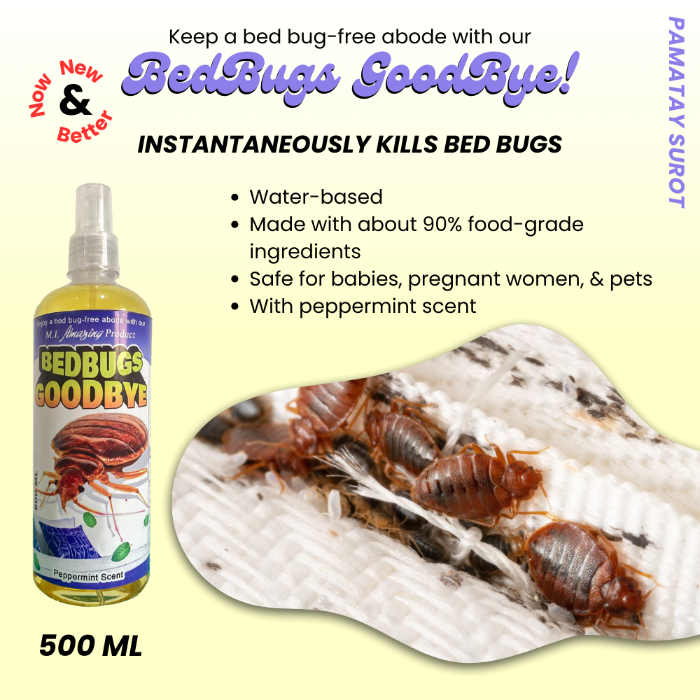 500 ML BedBugs GoodBye / Pamatay Surot / bed bug killer pesticide ...