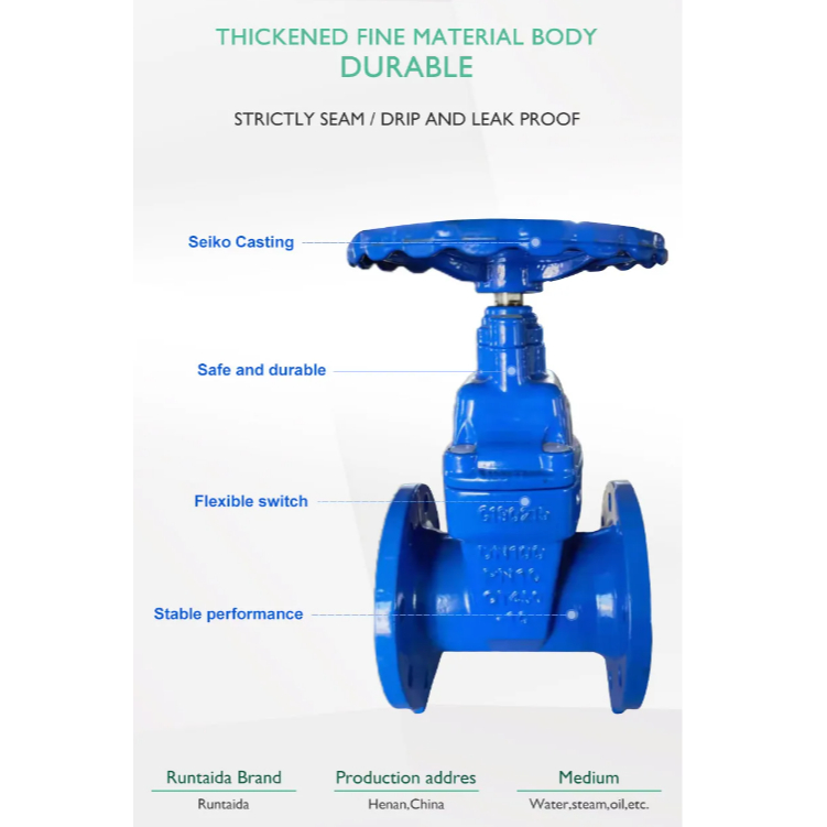 Blue Gate Valve Flange Type Non Rising Stem Soft Sealing Ductile Cast ...