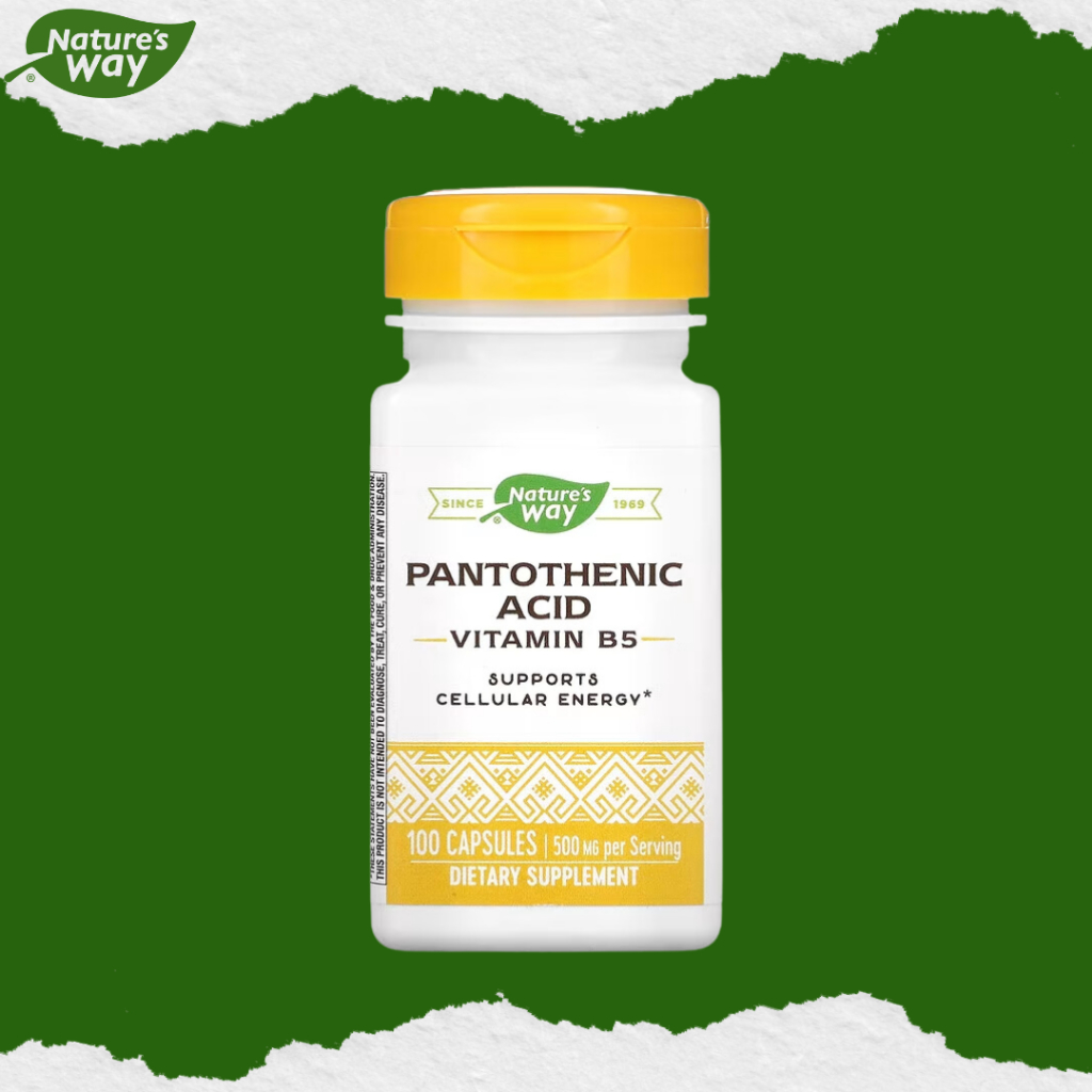 Nature's Way, Pantothenic Acid, Vitamin B5, 500 mg, 100 Capsules (250 mg per Capsule) | Shopee ...