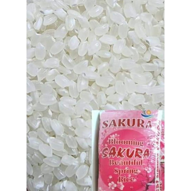 Sakura Japanese rice 25kg Sakura Sakura | Shopee Philippines