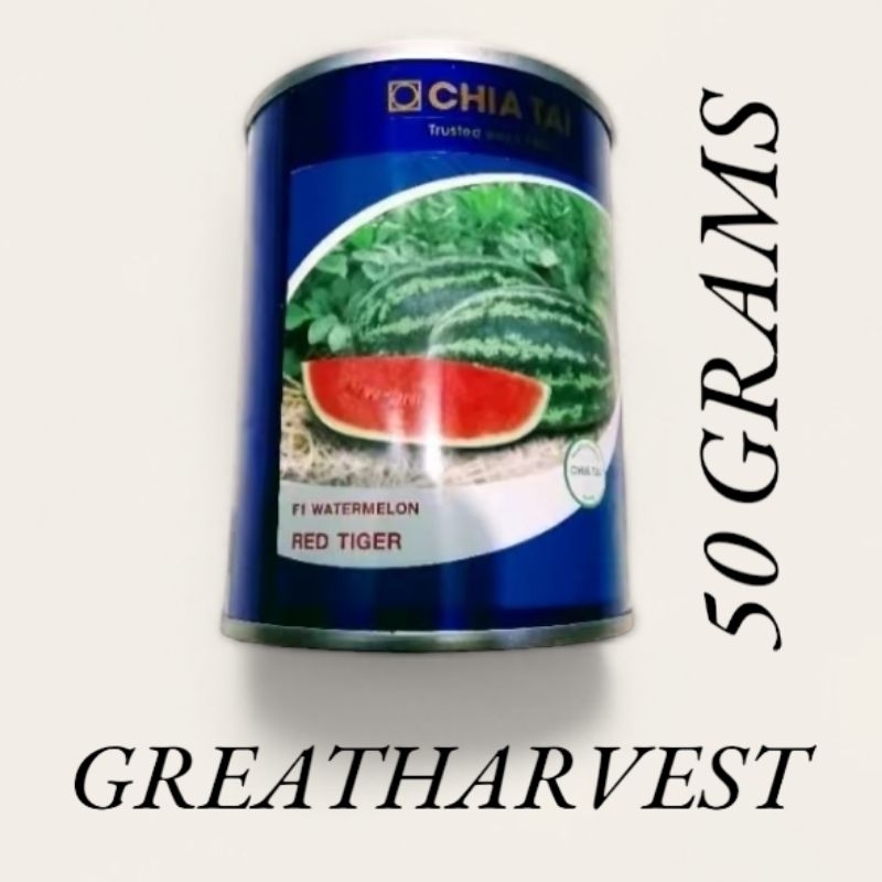 RED TIGER F1 HYBRID WATERMELON SEEDS(50 GRAMS)BY CHIA TAI SEEDS ...