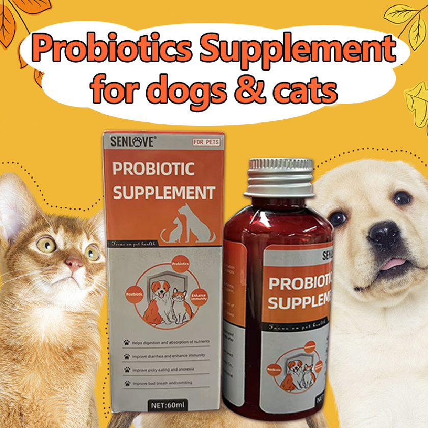 SENLOVE 60ml Pet Probiotics For Dogs Probiotic Syrup Supplement Syrup ...