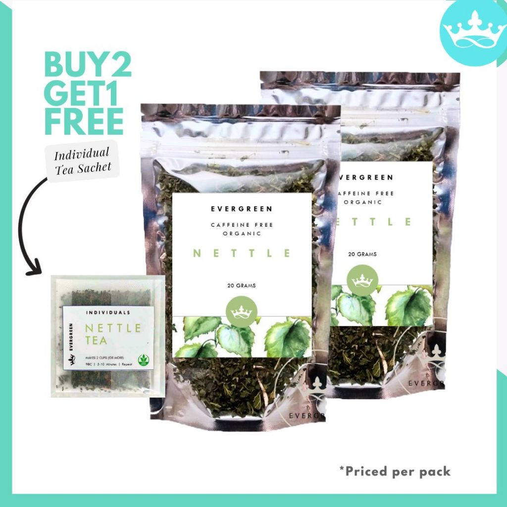 Nettle Leaf Tea US Alingatong Loose leaf & Big Teabags | Organic, 100% Natural, Caffeine-Free ...