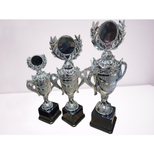 Perfect Silver Award Trophy set of 3pcs for Sports Tournament School ...