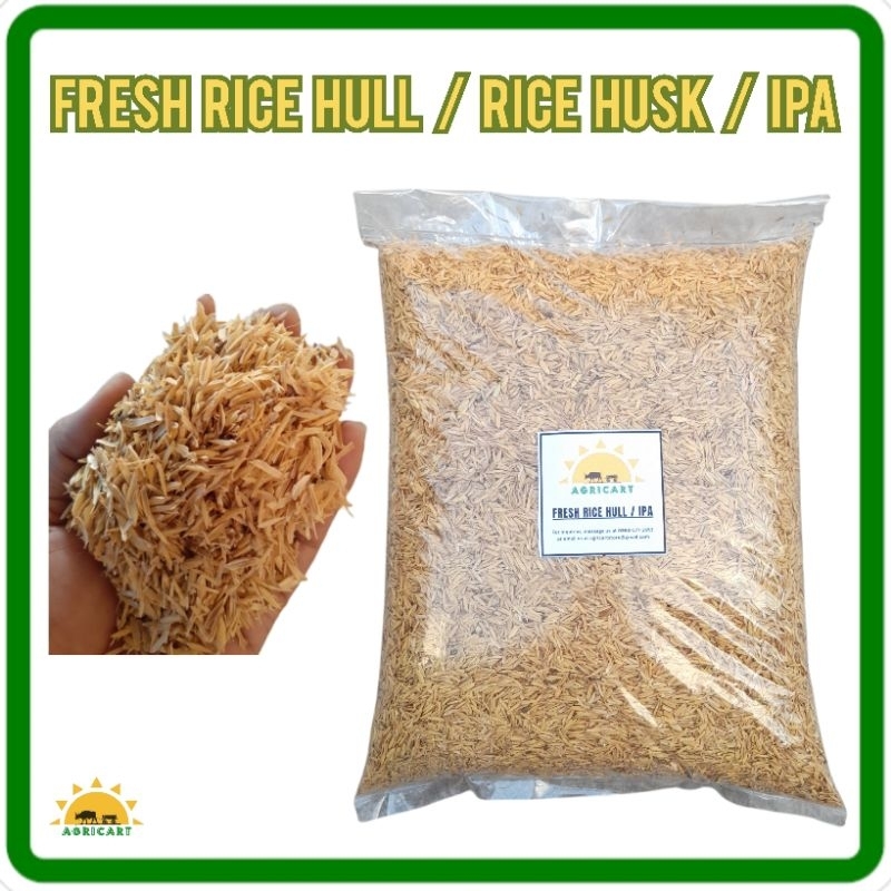Fresh Rice Hull (1 Kilo) Rice Husk / Ipa | Shopee Philippines