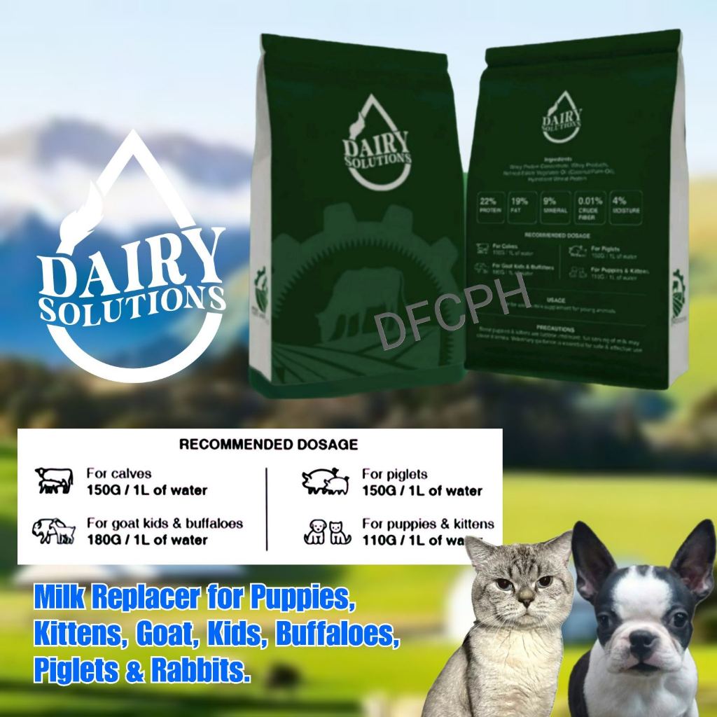 1kg Dairy Solutions Milk Replacer for Cat Dog Rabbit Puppy Rabbit Goat ...