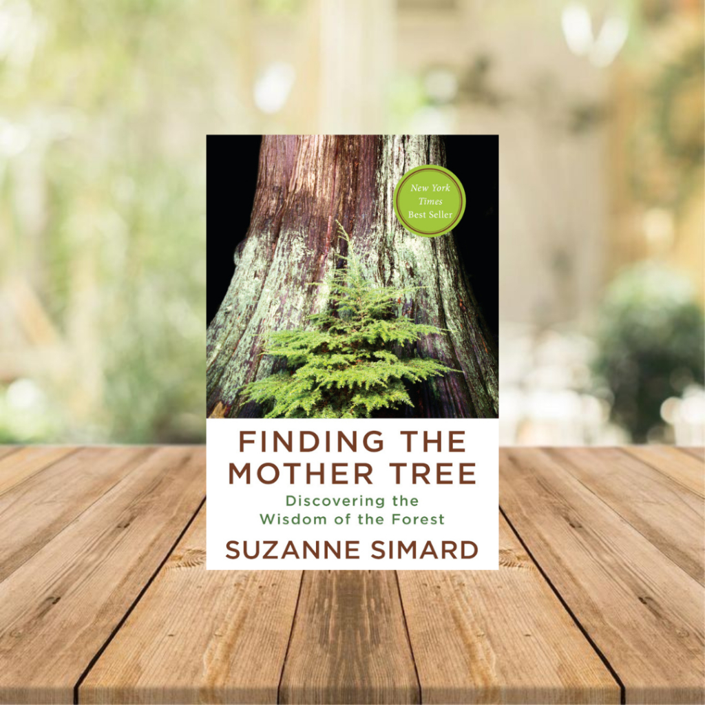 Finding the Mother Tree: Discovering the Wisdom of the Forest by ...