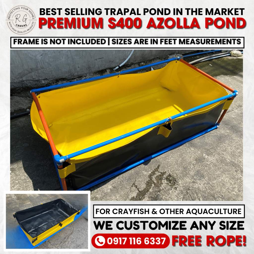 Azolla Pond Trapal 4x2x1ft Original S400 Heavy duty Can Holds Water ...