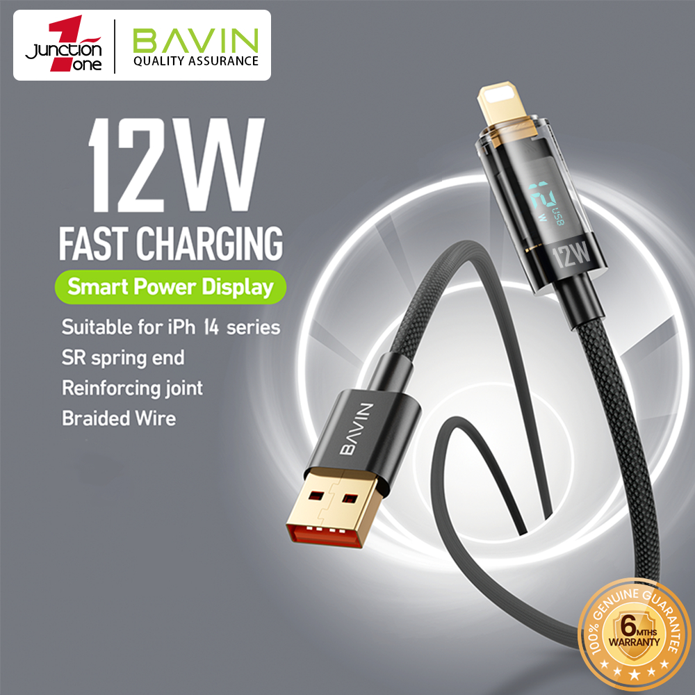 BAVIN CB309 12W Fast Charging Cable Data w/ Power Display & Data ...
