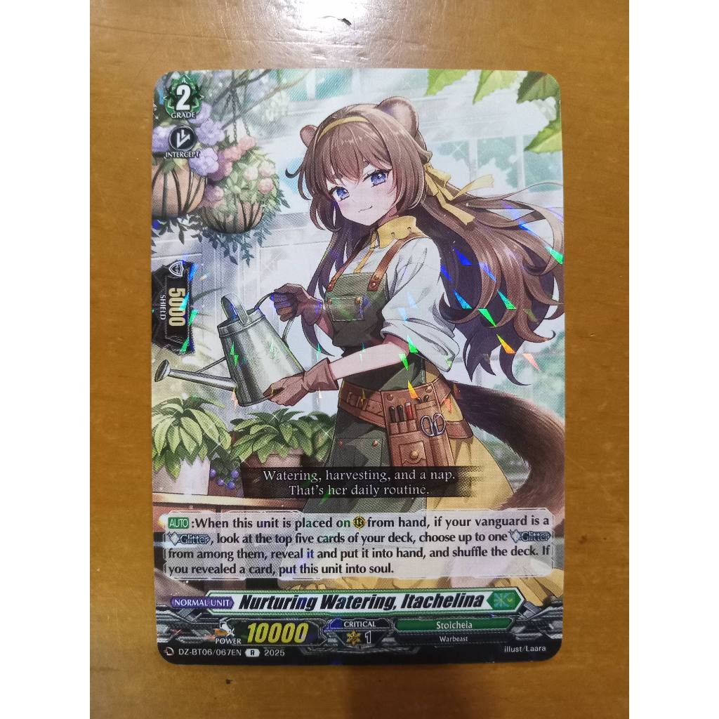 CFV Nurturing Watering, Itachelina R DZ-BT06 Stoicheia Cardfight Vanguard English | Shopee ...