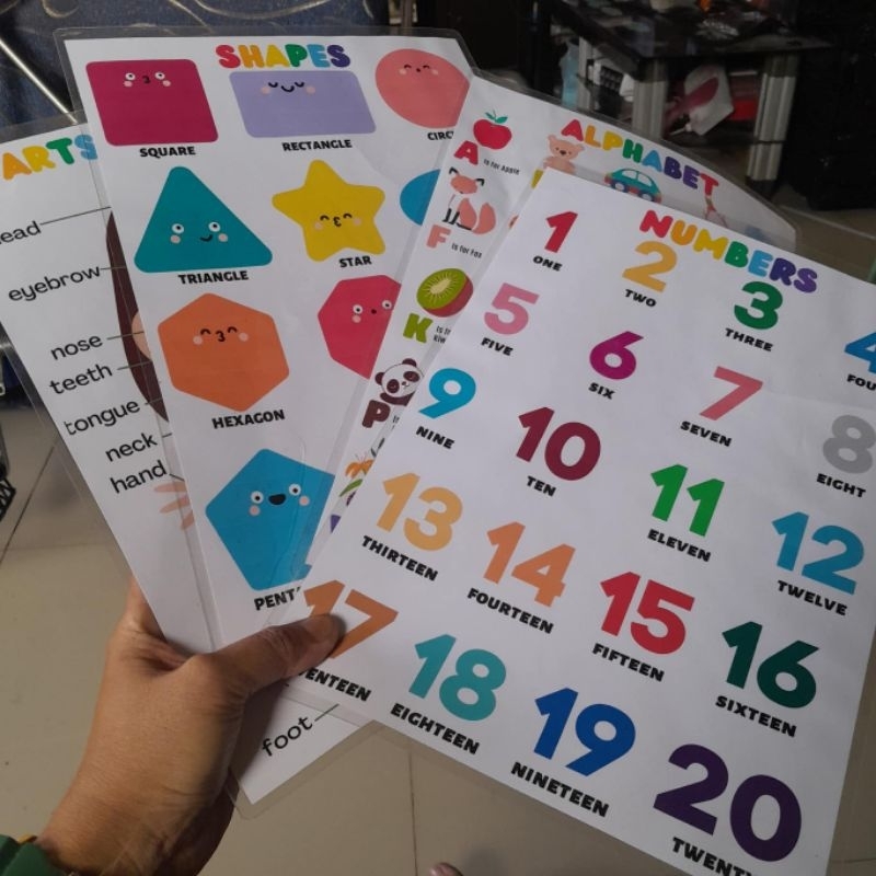 Laminated Educational Chart A4 size | Shopee Philippines