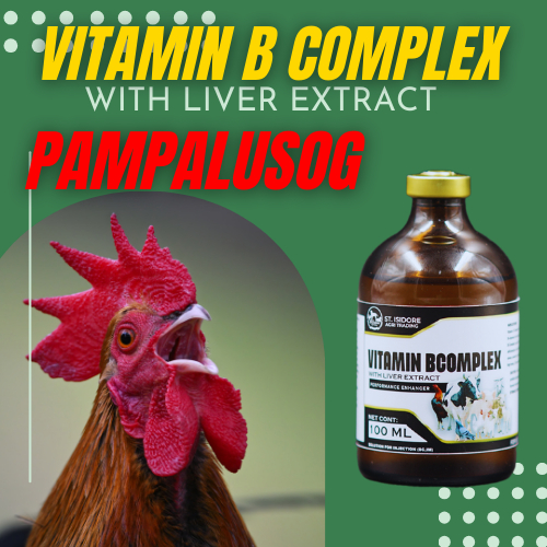 Vitamin B Complex Liver extract injectables 100ml for goat, chicken ...