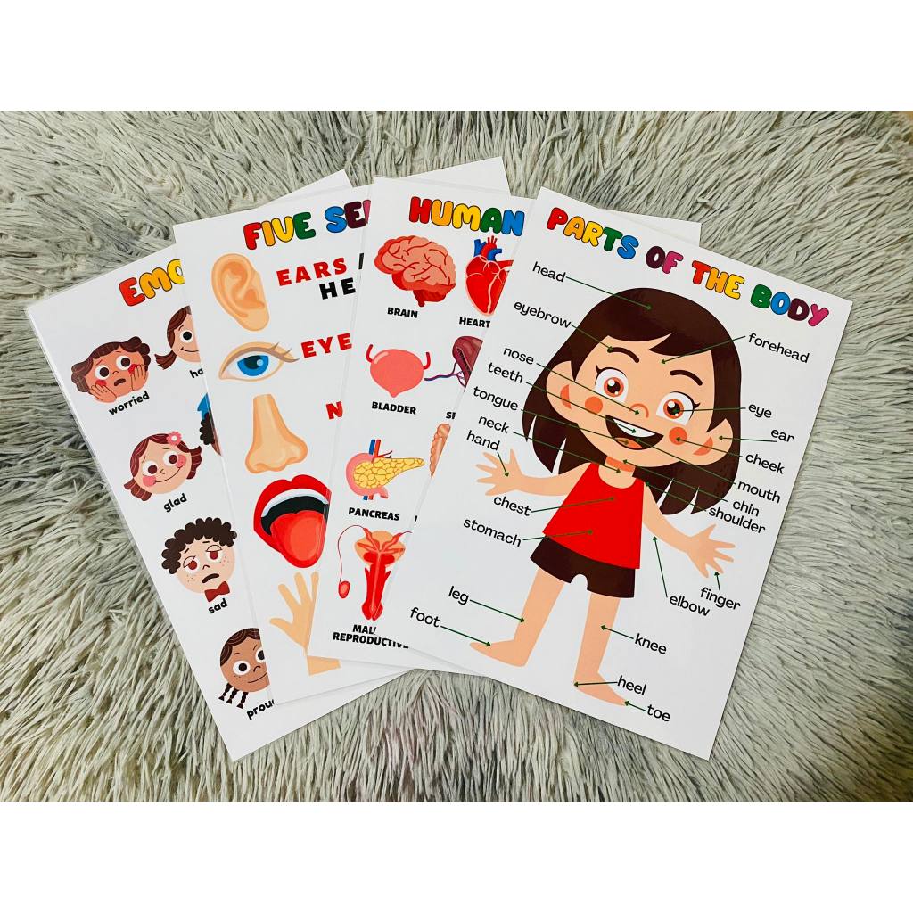 Educational Learning Materials Chart Laminated for Kids A4 | Shopee ...