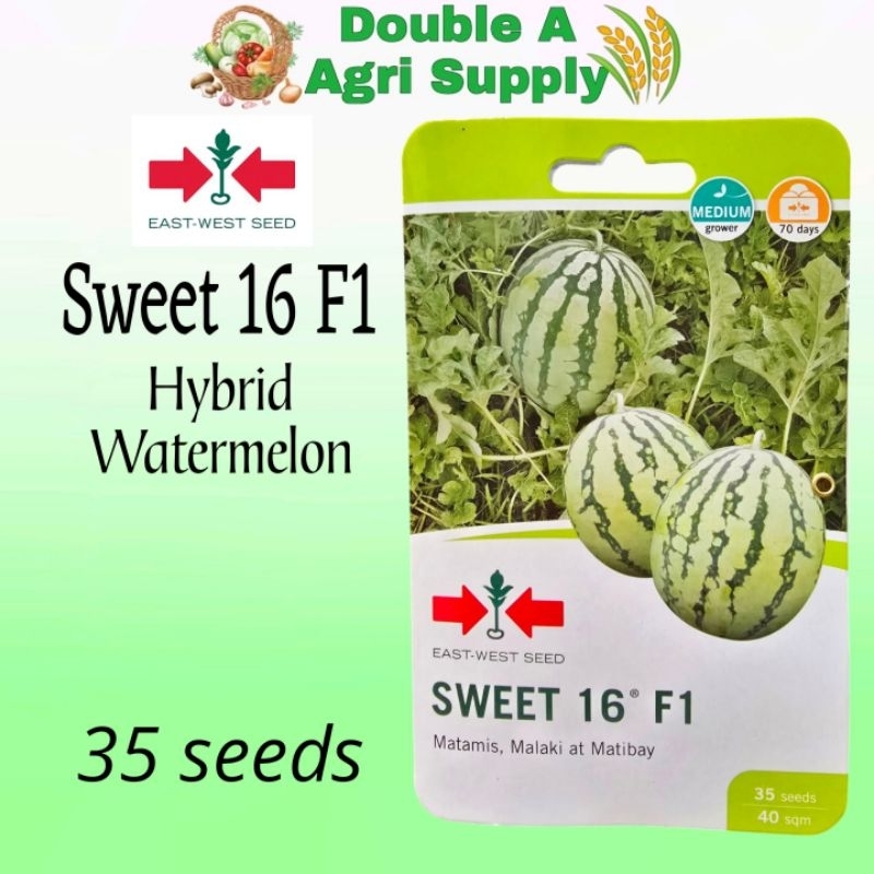 Sweet 16 F1 Hybrid Striped Watermelon Grow Pack - East West Seed ...