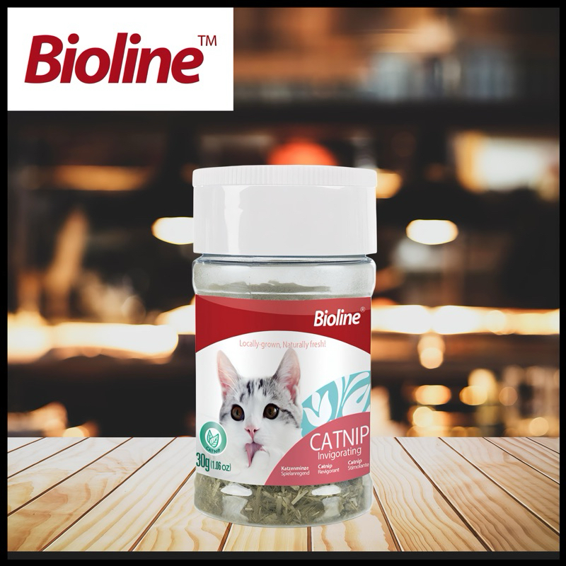 Bioline Catnip Invigorating 30g | Shopee Philippines