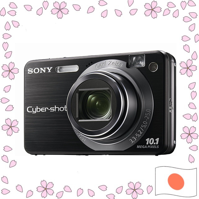 SONY Digital Camera Cyber-Shot W170 (10.1MP/Optical x5/Digital x10/Black) DSC-W170 B USED CAMERA ...