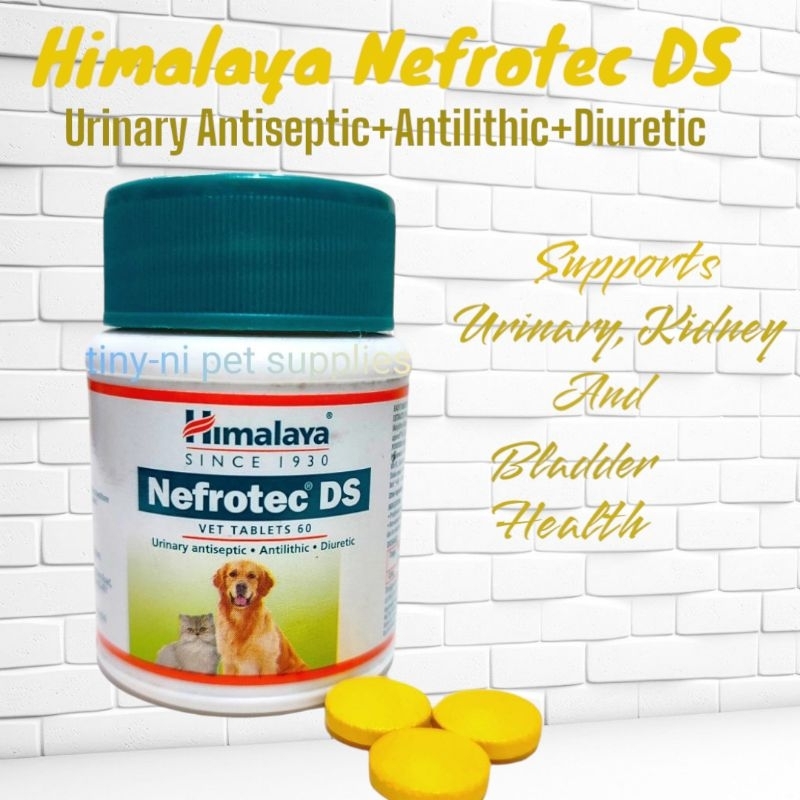 Nefrotec DS Tablet for Dog and Cat| Sold per Tablet For Urinary Tract ...