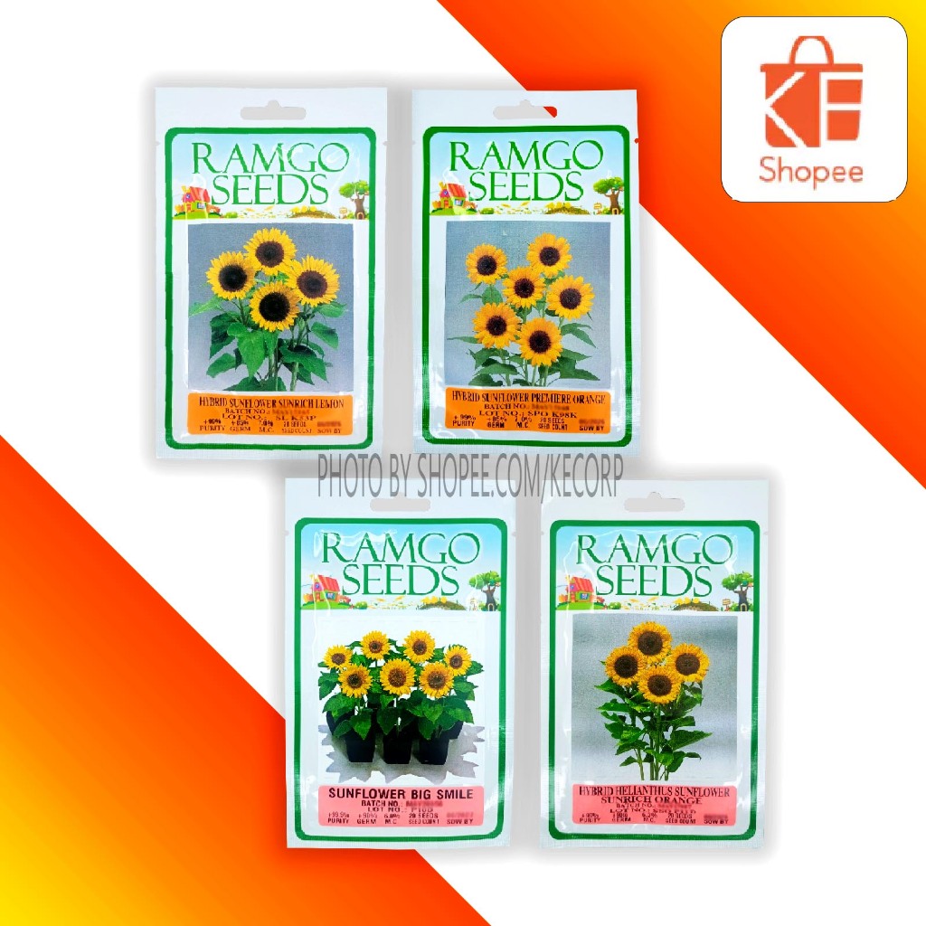 Ramgo RCF Sunflower Seeds Multiple Variants kcS11207 | Shopee Philippines