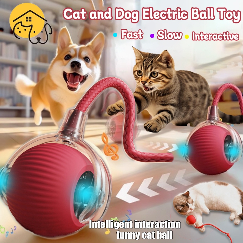 Pet Toys Interactive Smart Cat & Dog Toys Rechargeable Automatic Ball ...
