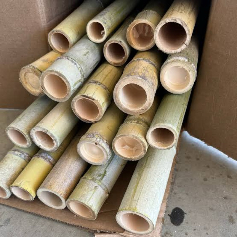 Bamboo poles, regular kawayan, Tinikling props, props, (diameter: 2-4 ...