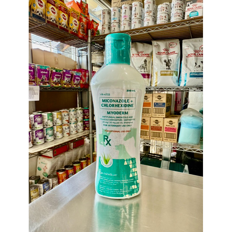 Myoderm Shampoo Antibacterial/Antifungal for Dogs and Cats 200ML ...