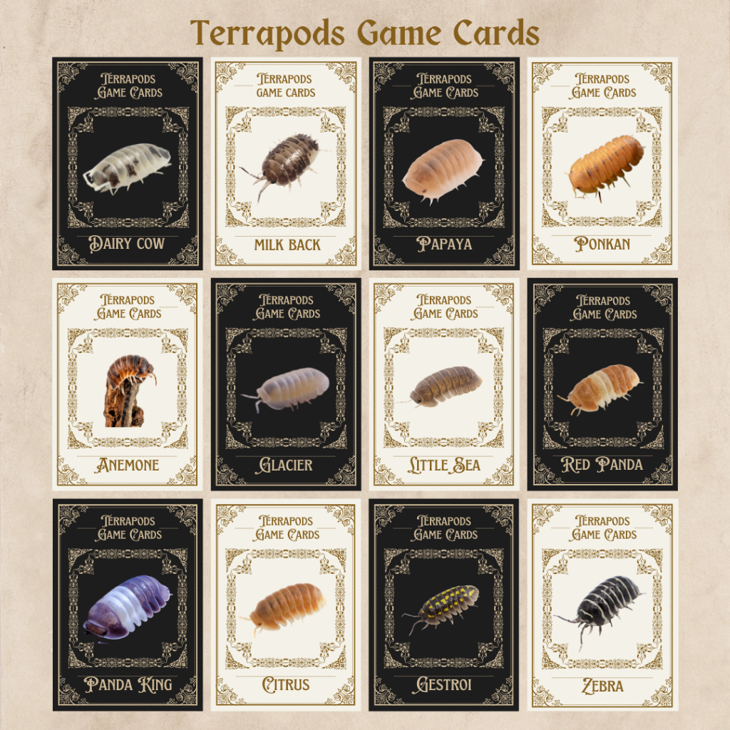 TERRAPODS ISOPODS GAME CARDS - ADVANCED | Shopee Philippines
