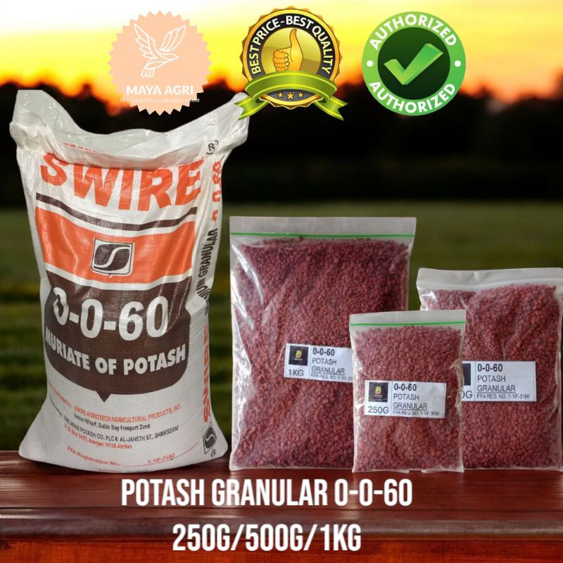 MURIATE OF POTASH 0-0-60 GRANULAR FERTILIZER 250G / 500G / 1 KILO MOP ...