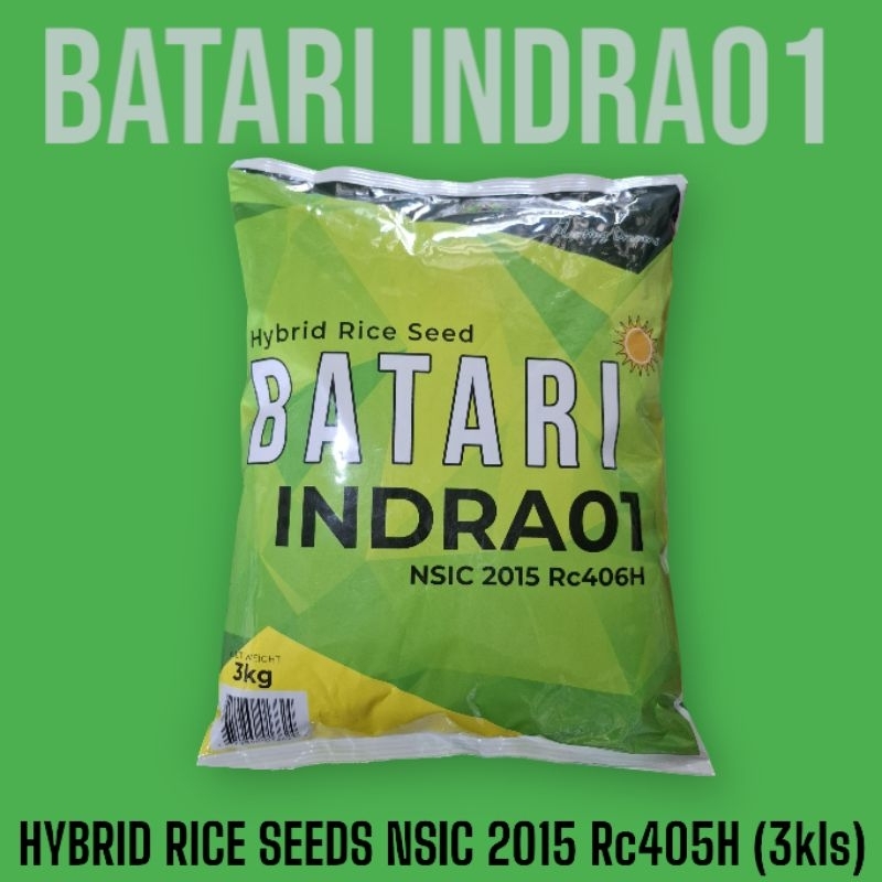 BATARI INDRA01 Hybrid rice seeds Rc406H 3kilos by Aljay | Shopee ...