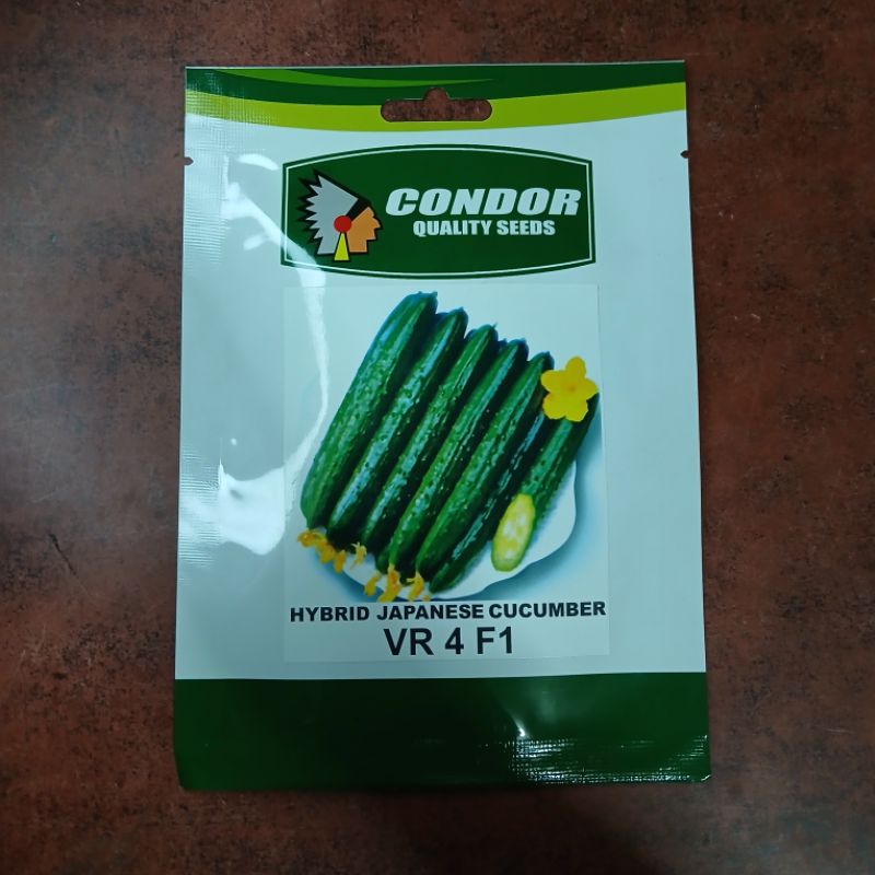 VR 4 F1 (100 SEEDS) HYBRID JAPANESE CUCUMBER SEEDS / PIPINO SEEDS BY ...