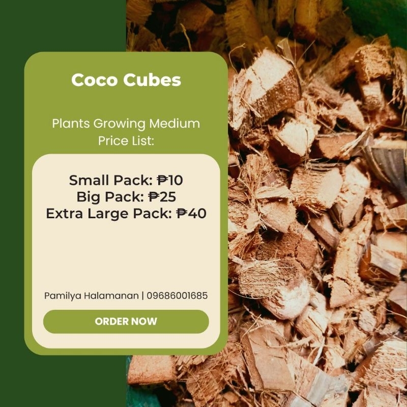 Coco Cubes Coco Coir Growing Medium for Plants | Shopee Philippines