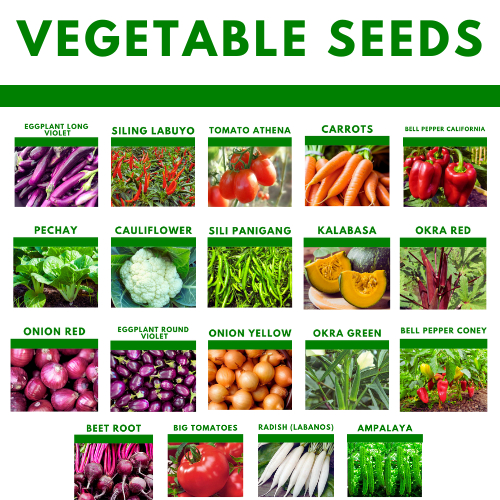 Shop seeds for Sale on Shopee Philippines