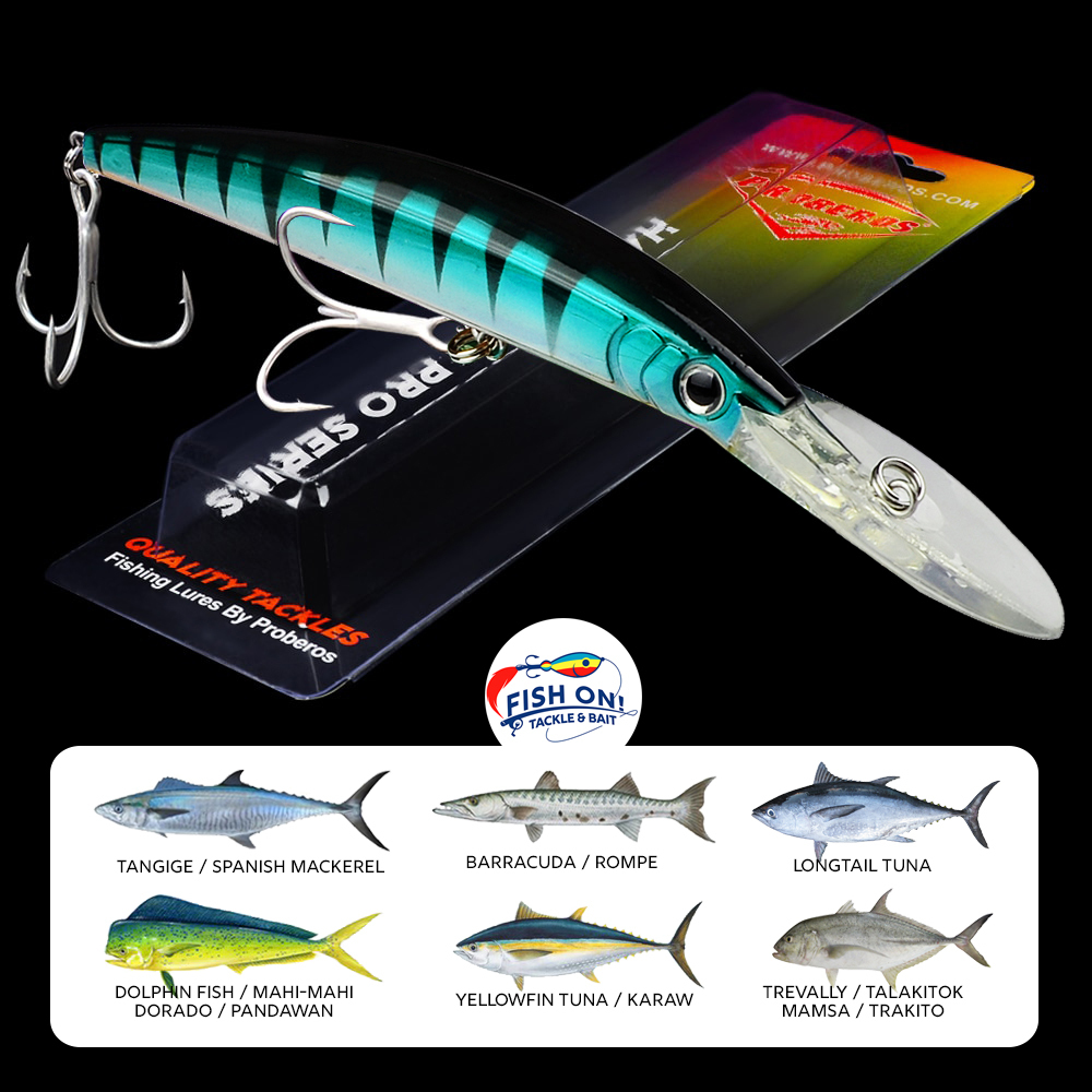 17cm/27g 🇵🇭 Deep Diver Fishing Lure Artificial Floating Bait for ...