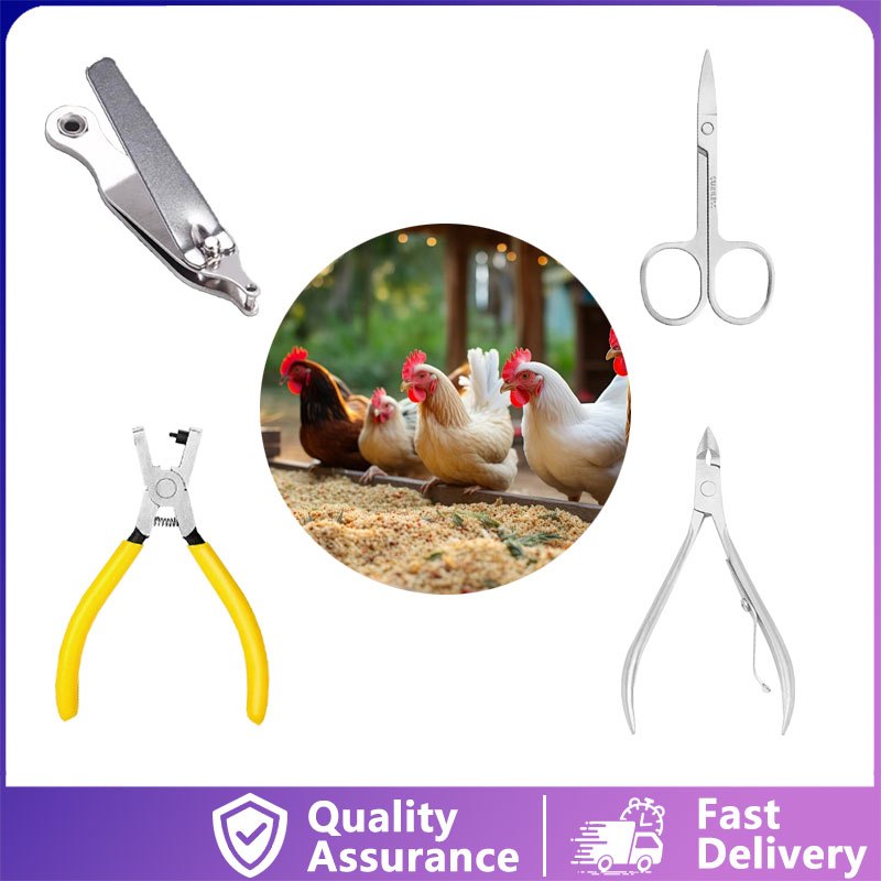 Gamefowl kit Stainless Wingband plier Toe puncher for chicks applicator ...